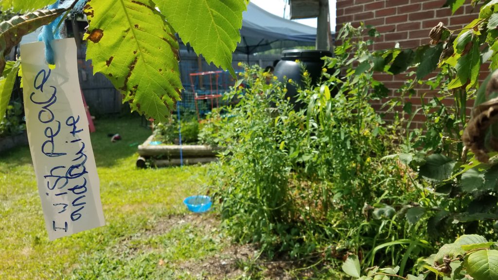 Growing Garden ‘Literacy’ at Highgate Library & Community Center ...