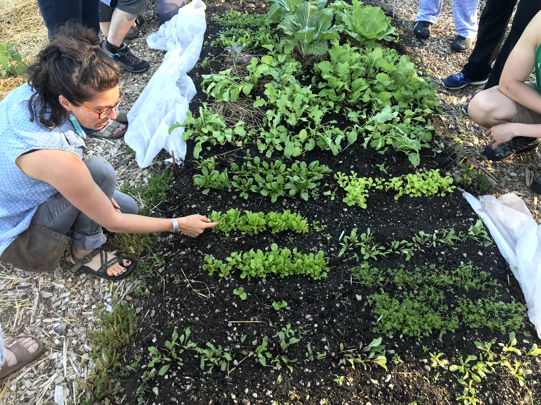 Meet this season's garden educators - Vermont Garden Network