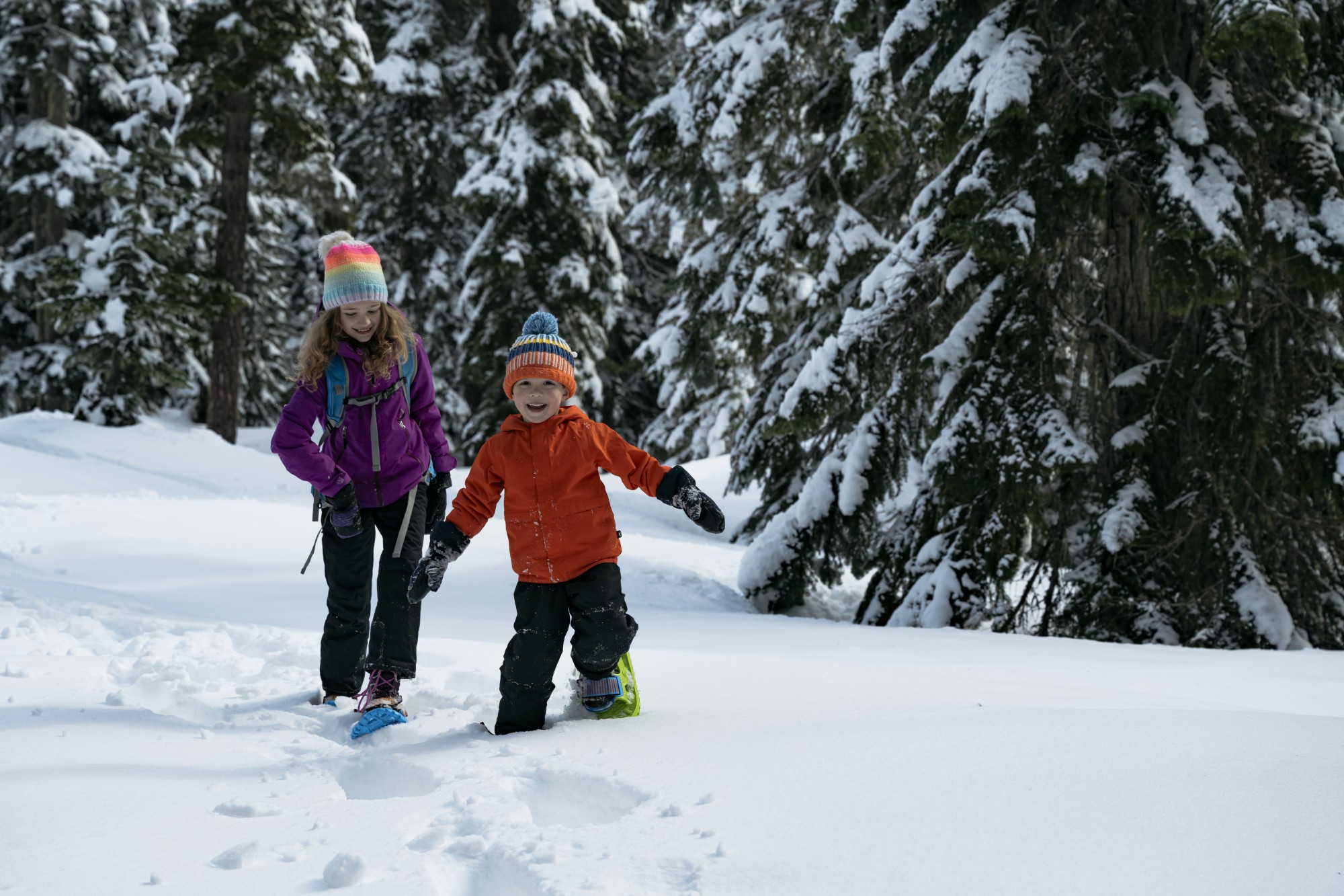 Join us for VGN's Snowshoe Winter Walk! - Vermont Garden Network